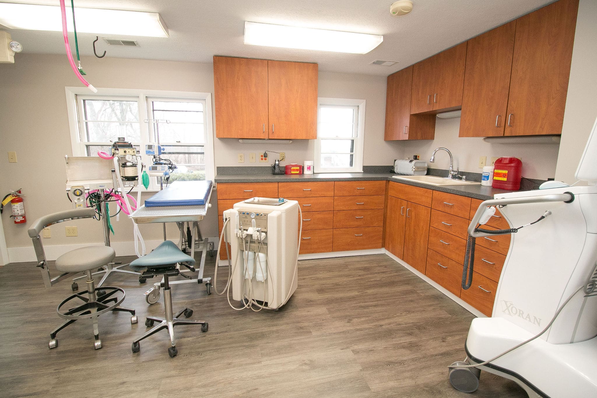 Waiting Room - Veterinary Dentistry and Oral Surgery of Ohio